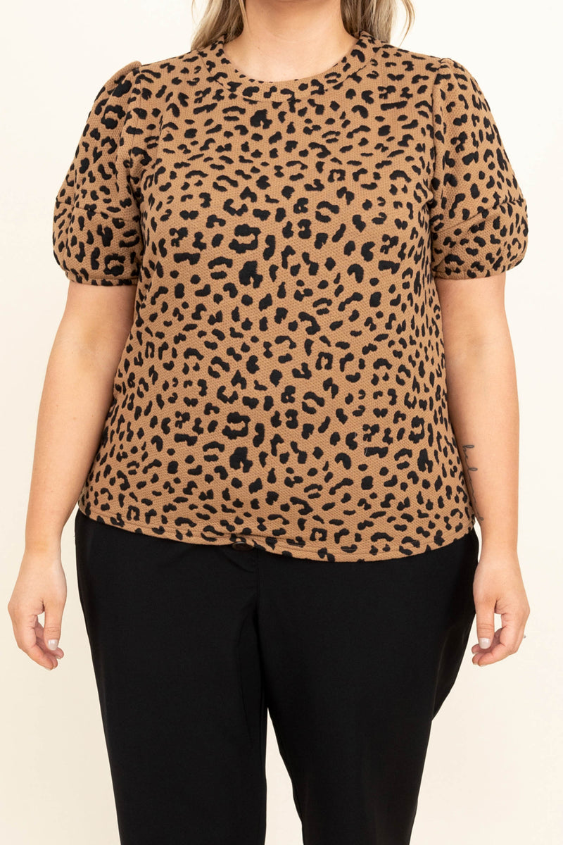 She's Spotted Top, Mocha – Chic Soul